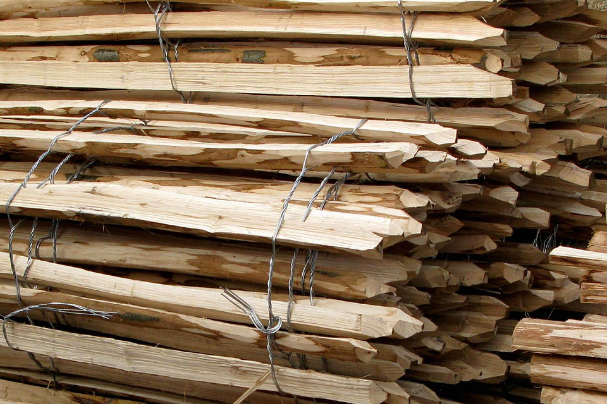 Piquets de Clôture en CHATAIGNIER ou en ACACIA ? Conseils 2025