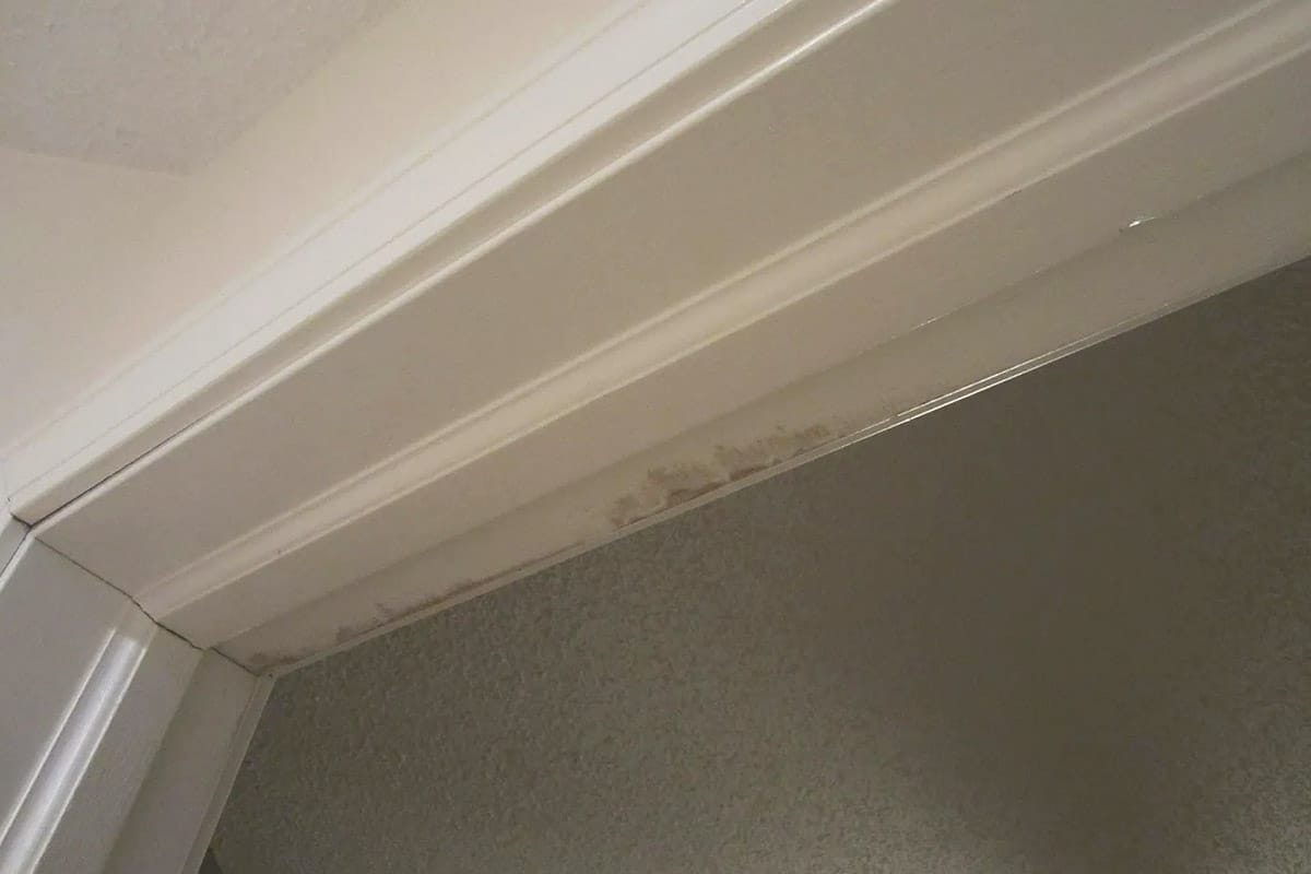 Comment RABOTER une PORTE ? Tuto Complet 2025