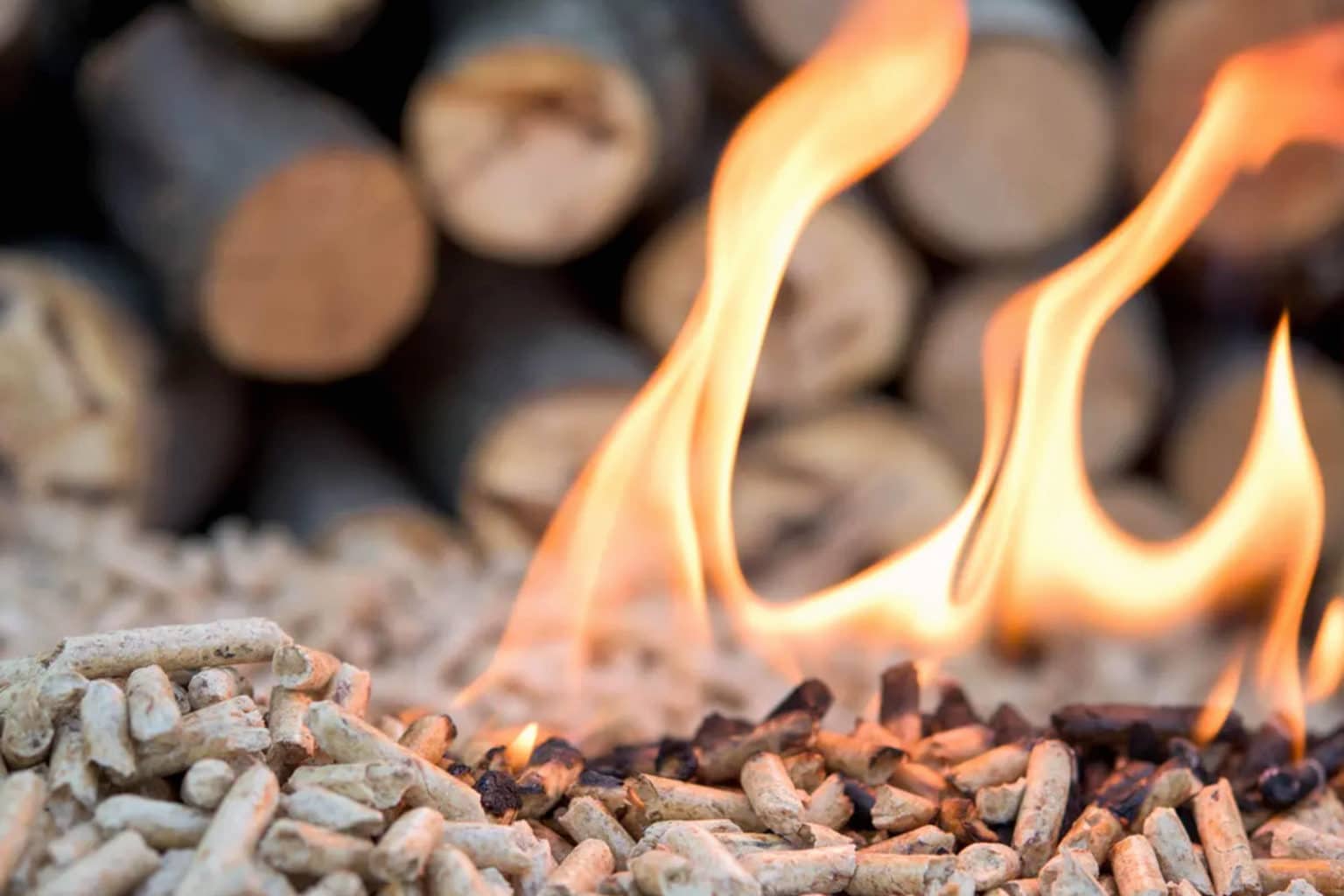 Comment FABRIQUER des PELLETS de Bois ? Tuto [current_date format='Y']