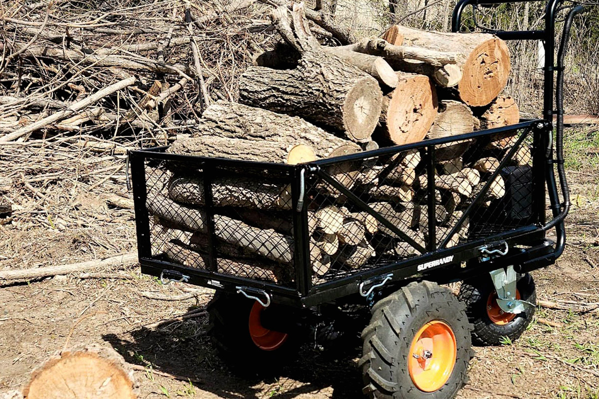 Choisir le Meilleur CHARIOT de JARDIN : Avis, Comparatif et Prix 2026