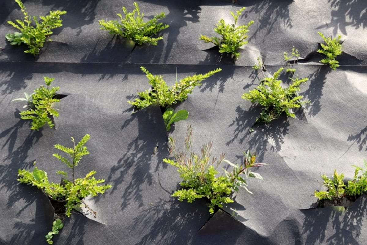 Quel GÉOTEXTILE Choisir Pour son JARDIN ? 3 Astuces de Pro