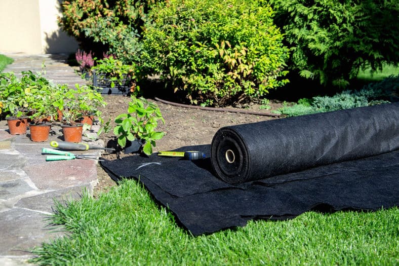 Quel GÉOTEXTILE Choisir Pour son JARDIN ? 3 Astuces de Pro