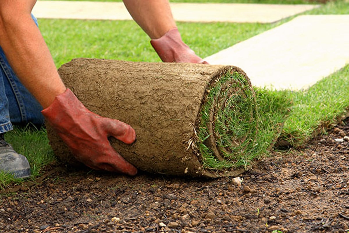 Comment poser du gazon SYNTHÉTIQUE sur de la terre ? Guide étape par étape