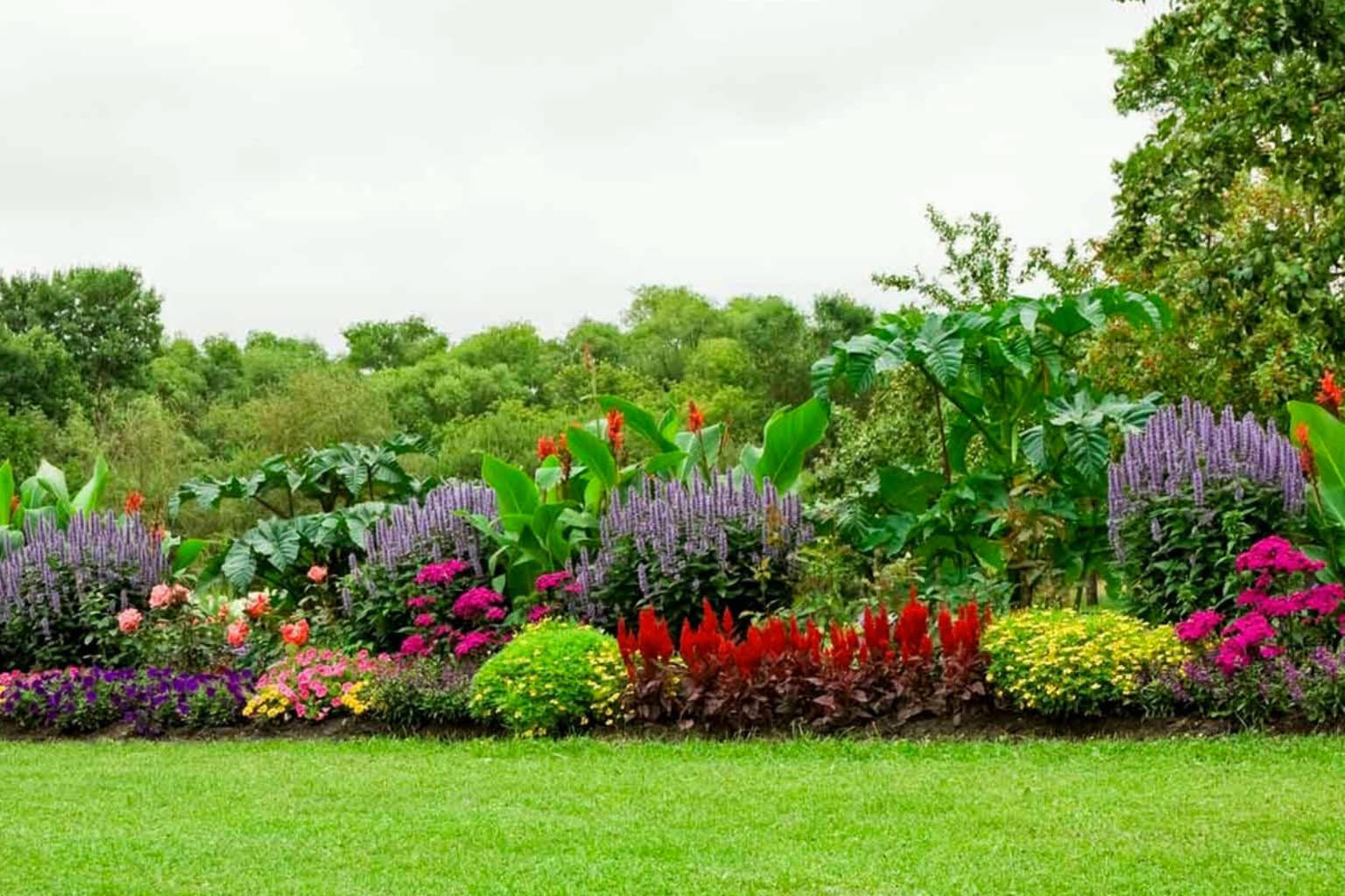 Comment DÉLIMITER TERRASSE et PELOUSE ? 5 Astuces de Pro