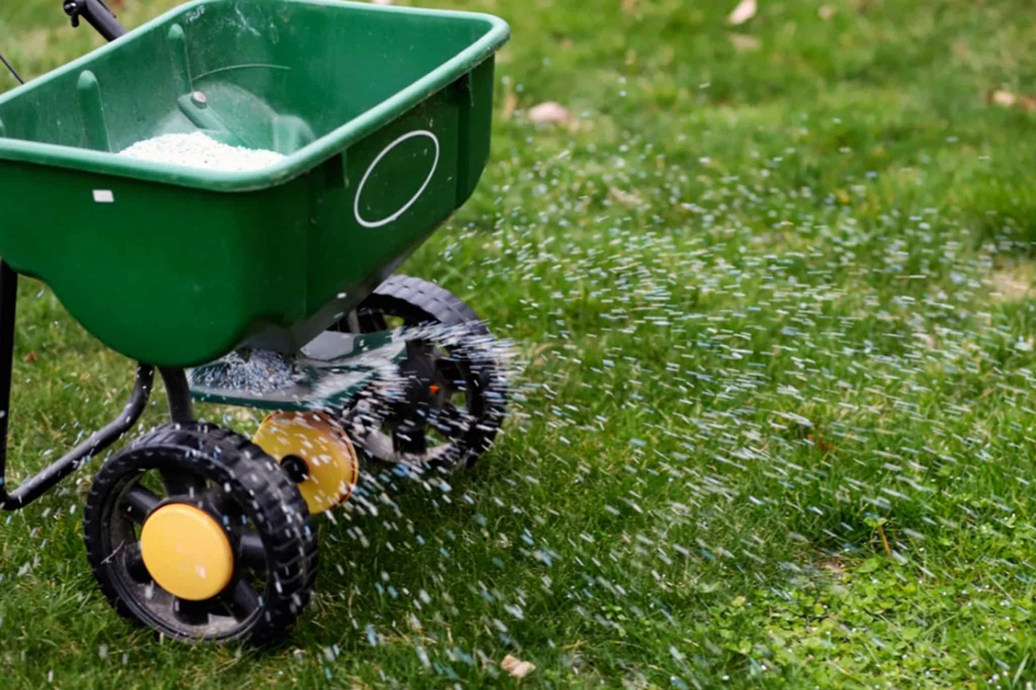 Quand Faut-il Mettre de l'ENGRAIS sur le GAZON ? 4 Astuces de Pro