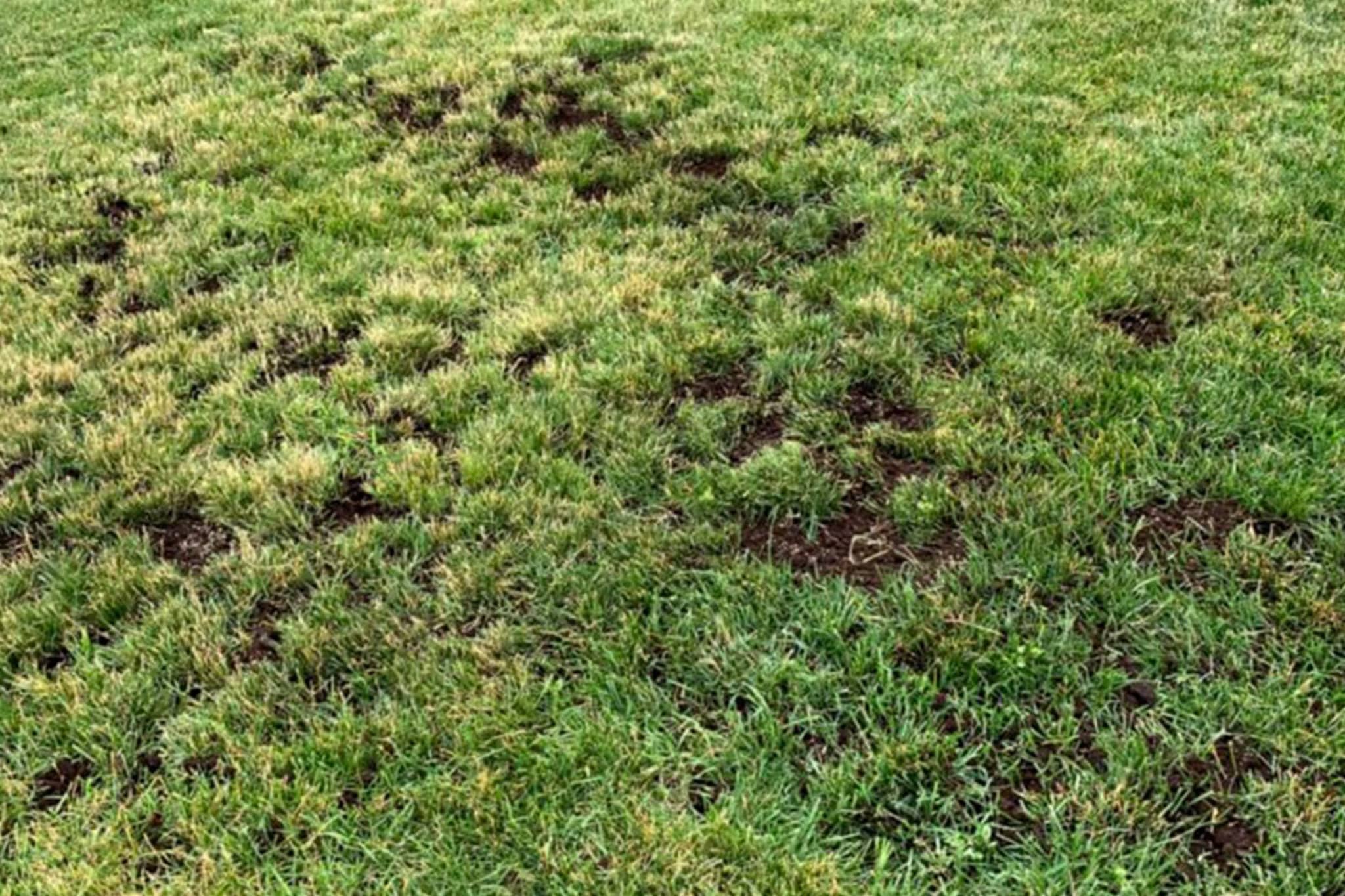 Pourquoi REMETTRE de la TERRE sur une PELOUSE ? 5 Astuces de Pro