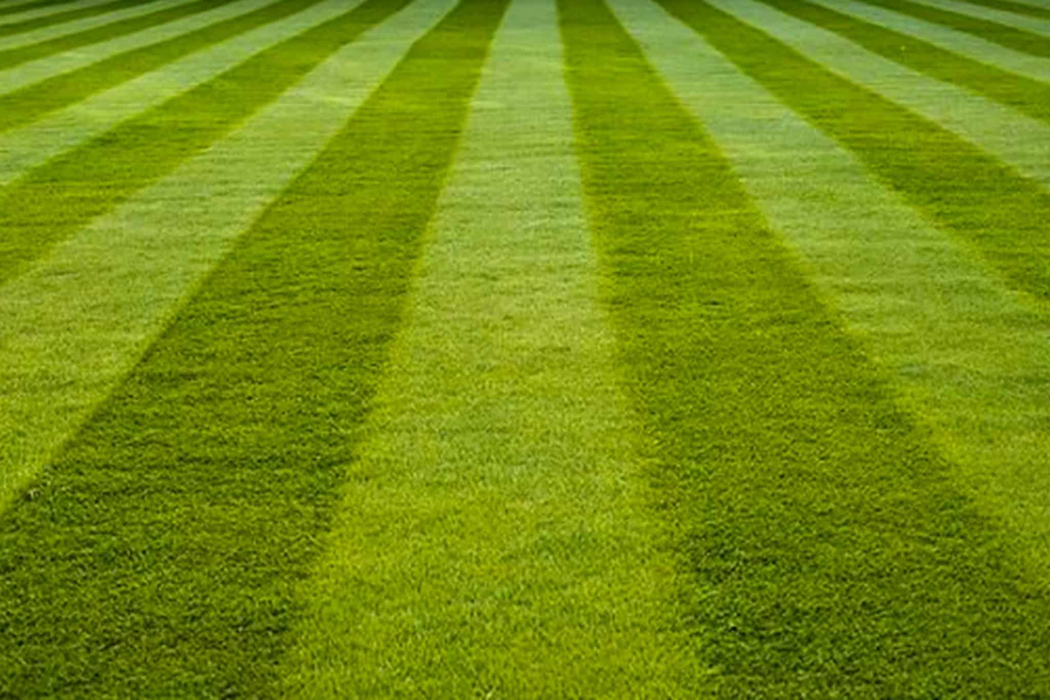 Comment TONDRE sa Pelouse Comme un TERRAIN de FOOT ? 5 Astuces de Pro